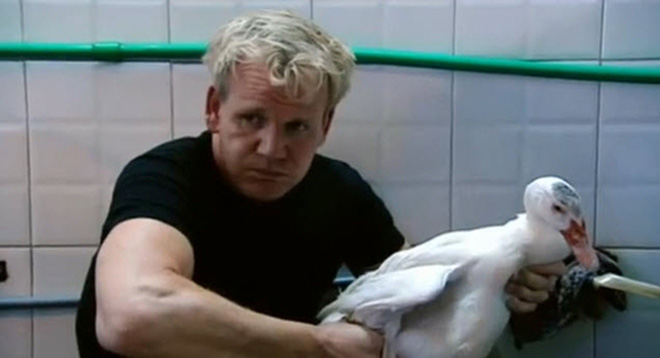 Gordon Ramsay từng đến Hà Nội xin công thức ngan quay bí truyền, bị chị ...